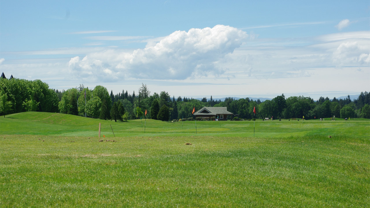 Cours de golf – Golf Technic